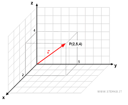 Cos'è un vettore? | stemkb.it